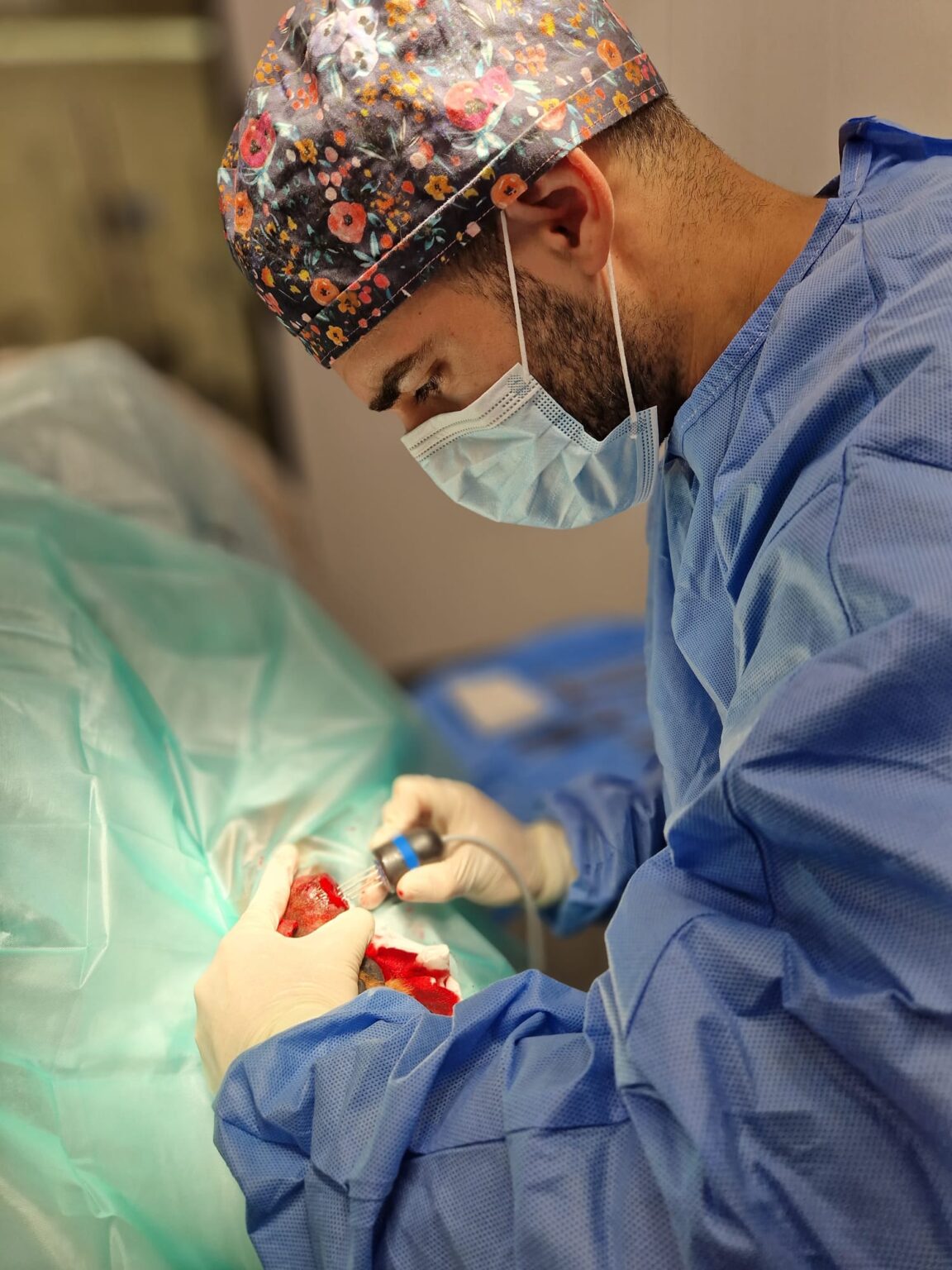 Electrochemotherapy: an innovative treatment for cancer – Vet Referrals