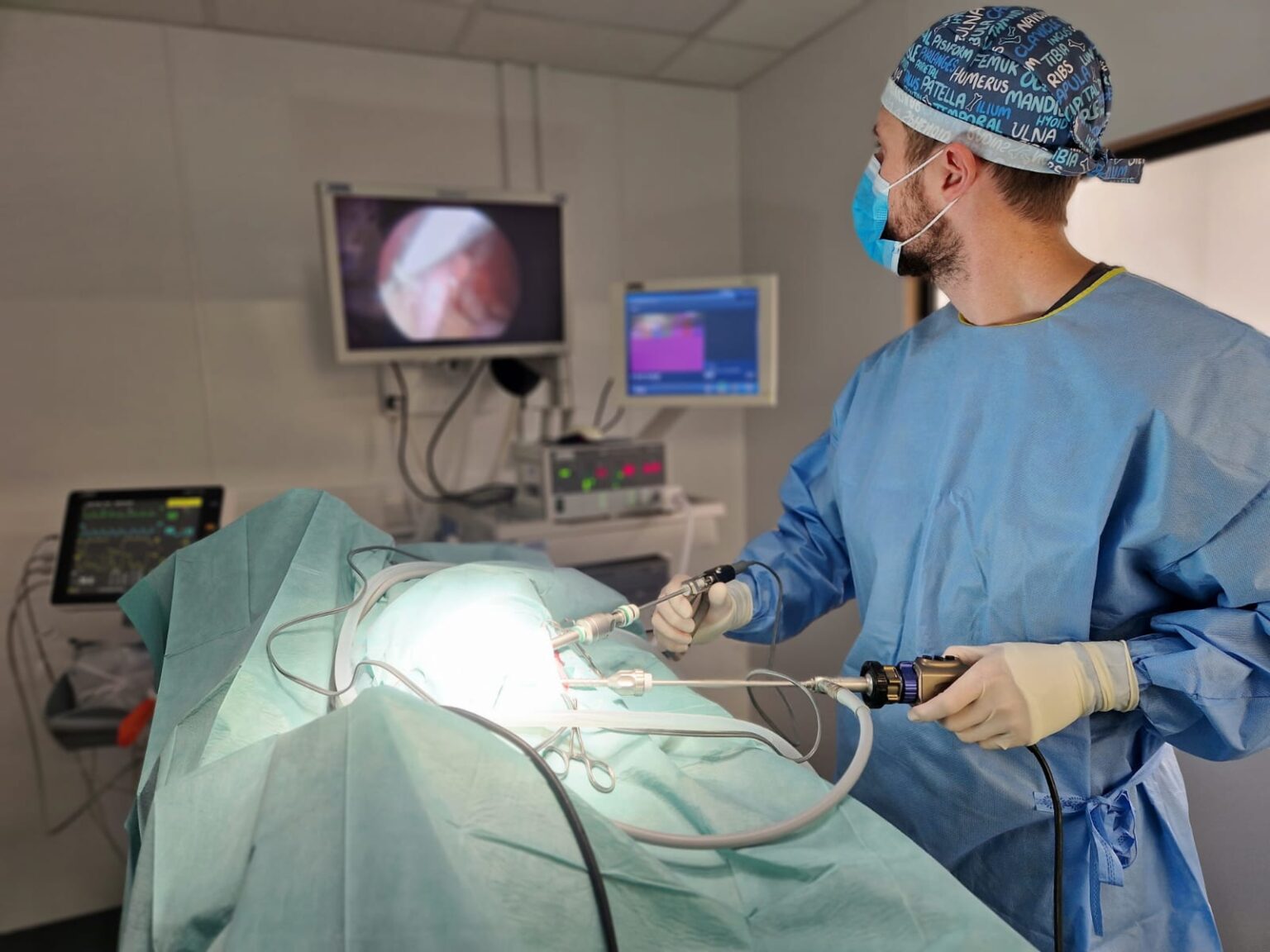 Electrochemotherapy: an innovative treatment for cancer – Vet Referrals